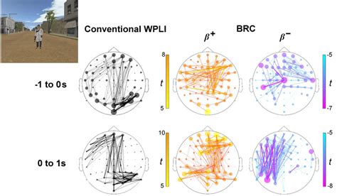 Target Identification Results Conventional Wpli Across All Trials For