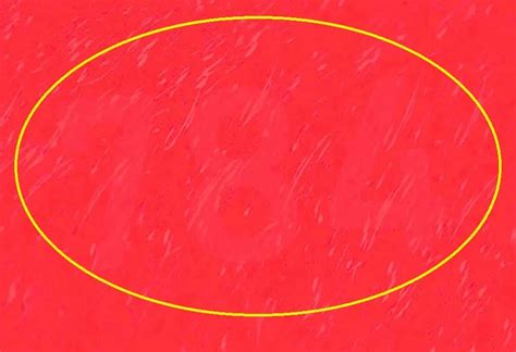 Find Hidden Number Solved 2 ವಿಜಯವಾಣಿ