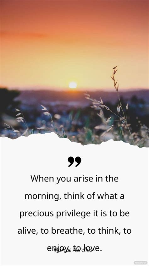 Marcus Aurelius Quotes When You Arise In The Morning