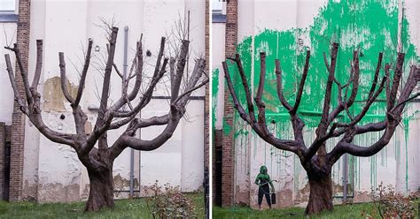 앙상한 나뭇가지 앞 푸른 잎런던 외곽에 뱅크시 작품 등장