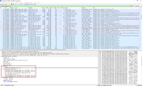 Single DNS Query Hundreds Of Packets Weberblog Net