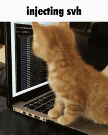 Code Coding GIFs Tenor