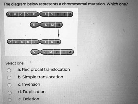 Solved The Diagram Below Represents A Chromosomal Mutation Which One
