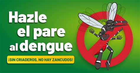 Conozca Síntomas Del Dengue Y Cómo Evitarlo Undiario