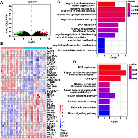 Degs And The Results Of Go Enrichment And Kegg Analyses A Volcano Plot