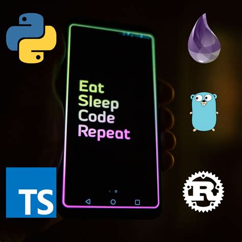 🚀 Curious About The Top 5 Programming Languages At Who Moves And How We
