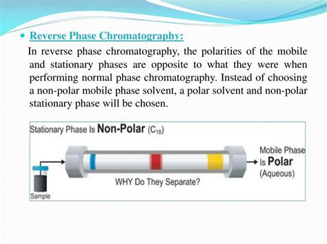 Reverse Phase Chromatography How It Works At Cody Wray Blog