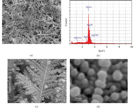 Figure 2 From Synthesis Of Dendritic Silver Nanoparticles And Their Applications As Sers