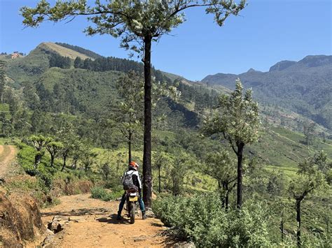 රෝද යාලුවනේ මට පොඩි උදව්වක් අවශ්‍යයි කාටද මට කියන්න පුළුවන් හෙට සෙනසුරාදා හැන්දෑ වරුවේ ඇල්ල