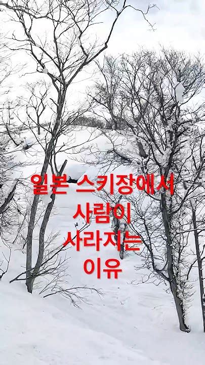 Shorts 배파원 배장의파우더원정대 니세코투어 일본스키여행 이렇게하면큰일납니다 Youtube