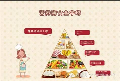 孕期营养如何补润康一板在手营养全有