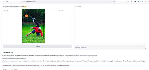 Question For App Py Issue 9 Jshilong GPT4RoI GitHub