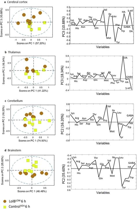 Pca And Loadings Plot Of Esi Lcms Amino Acid Quantitation Data Download Scientific Diagram