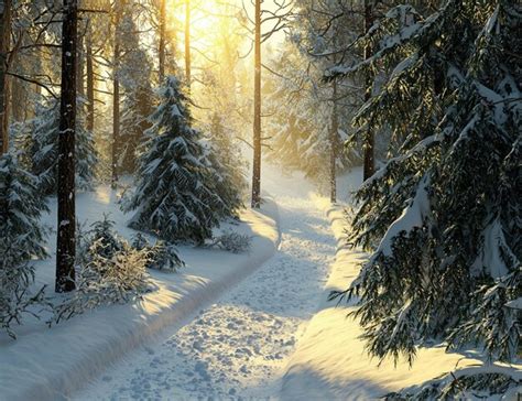 Winter Landscapes Premium Ai Generated Image