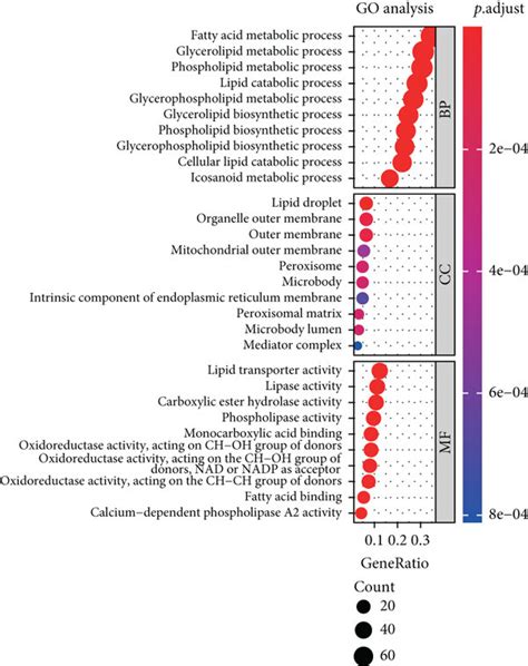 The Functional Enrichment Analysis Of 191 Degs A B Go Enrichment Download Scientific