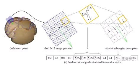 基于机器视觉技术快速准确地分类优秀劣质大豆品种图像识别坏黄豆 Csdn博客