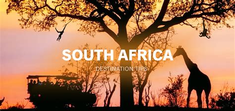 What To Know Before You Go South Africa Explorica Educational Travel