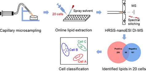 Profilage Lipidique De 20 Cellules De Mammifères Par