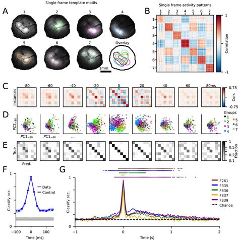Stereotyped Spatiotemporal Dynamics Of Spontaneous Activity In Visual Cortex Prior To Eye