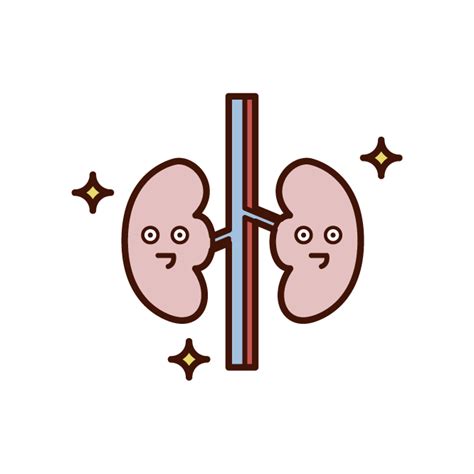 健康な腎臓のイラスト フリーイラスト素材集 KuKuKeKe