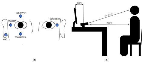 Exploration Of Eye Fatigue Detection Features And Algorithm Based On Eye Tracking Signal