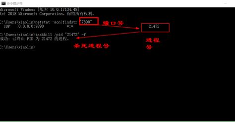 Address Already In Use 端口占用的错误oserror：【error 19】address Already In Use Csdn博客