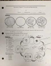 Unit Lab Report Pdf Laboratory Report Growth And Reproduction Table I Y Points