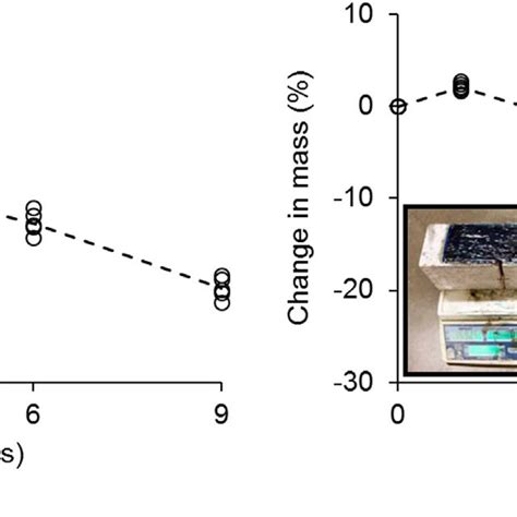 Physical Properties A Dry Bulk Density B Average Ratio Between Download Scientific