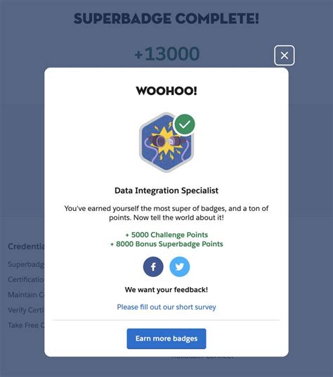 Felipe Rohde On Linkedin Salesforce Trailblazer