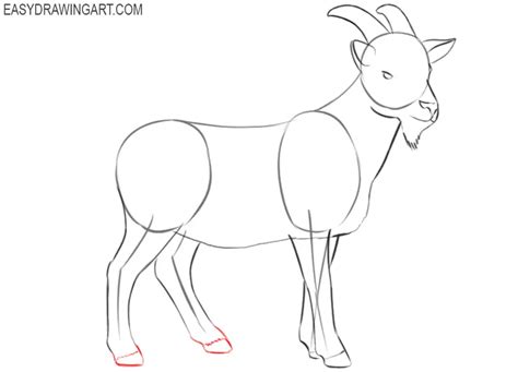 How To Draw A Goat Easy Drawing Art