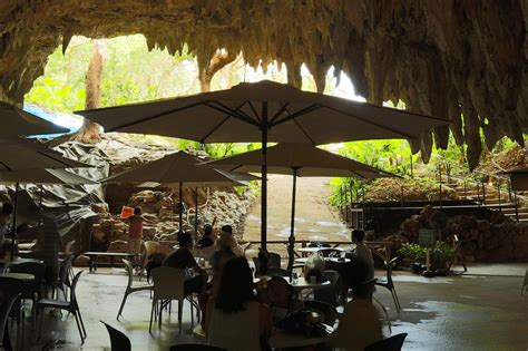 Cavecafe 旅の出発点 ガンガラーの谷 生命の神秘を辿る旅へ