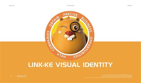 敛客网络科技品牌全案设计 Cnd设计网中国设计网络首选品牌