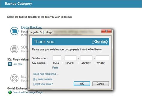 How To Register The Sql Plugin Of Genie Backup Manager Server 90