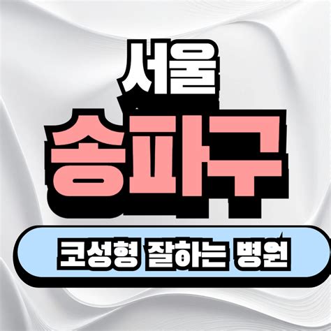 서울 송파구 코 성형외과 잘하는 병원 추천 및 가격 비교 매부리코 코끝 콧끝 넓은 코 등 Loyal It