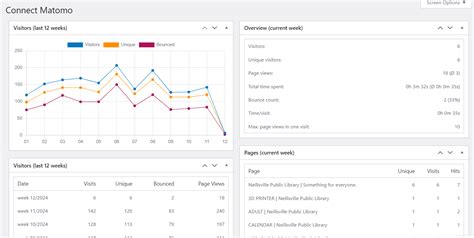 Connect Matomo Dashboard Libwin Website Training