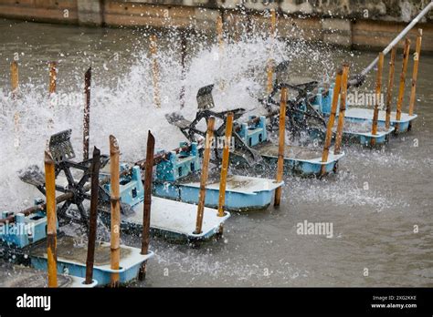 Water Turbines In Water For Increase Oxygen To Water Stock Photo Alamy