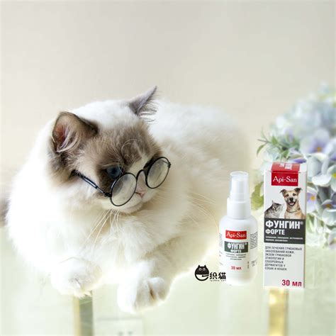 俄罗斯Api San除螨宠物癣药猫狗真菌皮肤病猫癣喷剂30ml包邮 虎窝淘