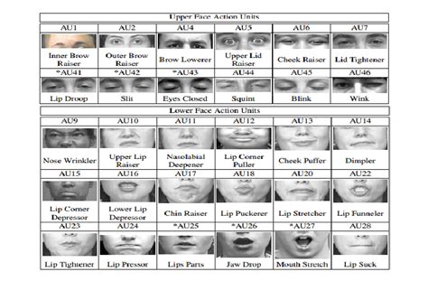 Facial Action Units For Upper And Lower Part Of The Face Download Scientific Diagram