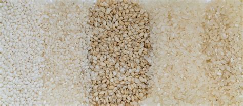 쌀 한국인이 사랑하는 일상의 맛