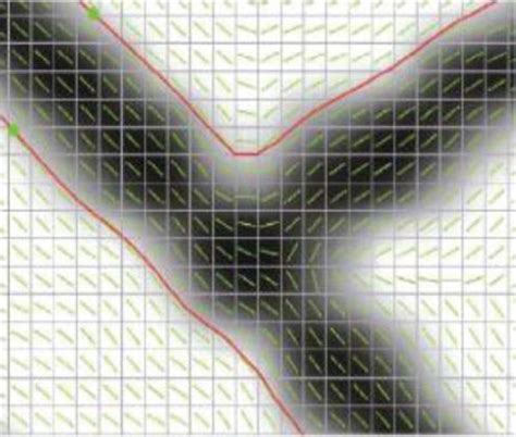 A A Tangent Field Used By Chen Et Al 18 Cannot Capture A Download Scientific Diagram