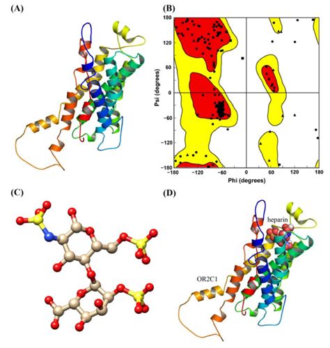 Homology Modelling And Molecular Docking Of Or2c1 And Heparin A Download Scientific Diagram