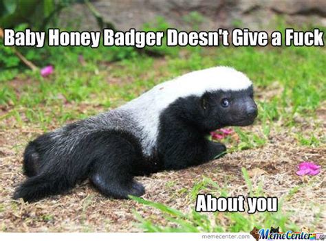 [image 739261] Honey Badger Know Your Meme