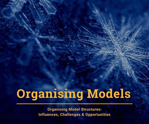 Organising Model Structures Influences Challenges And Opportunities