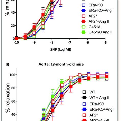 Endothelium Independent Relaxation In The Aorta Sodium Nitroprusside