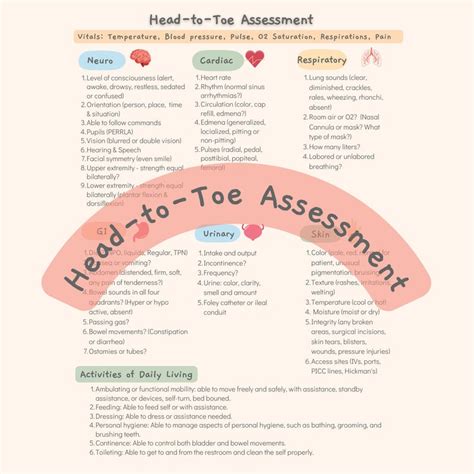 Physical Assessment Guide Etsy