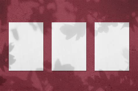 나뭇잎 그림자가있는 세 개의 빈 흰색 수직 직사각형 포스터 모형 3가지 개체에 대한 스톡 사진 및 기타 이미지 3가지 개체 A4 용지 개념 Istock