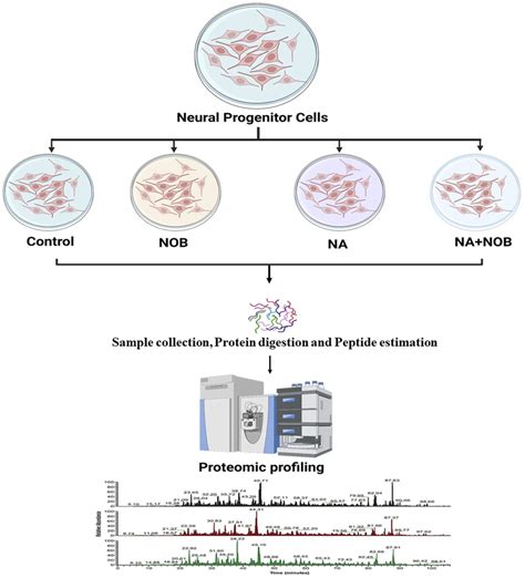 Schematic Diagram Of A Proteomic Experimental Condition Samples