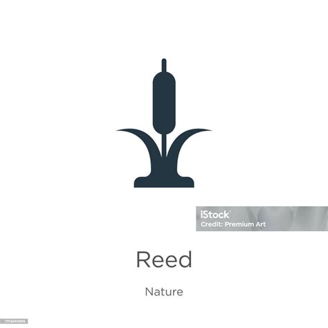 리드 아이콘 벡터입니다 흰색 배경에 고립 된 자연 컬렉션에서 트렌디 한 플랫 리드 아이콘 벡터 일러스트는 웹 및 모바일 그래픽 디자인 로고 Eps10에 사용할 수 있습니다