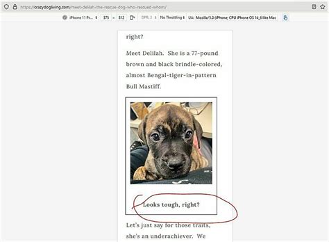 Cant Figure Out Odd Image Fit Issue With Div 2 By Brandon5072 Programming And Development