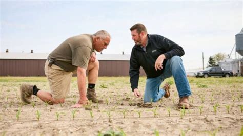Admiring The Merits Of Crop Scouting Tools Croplife